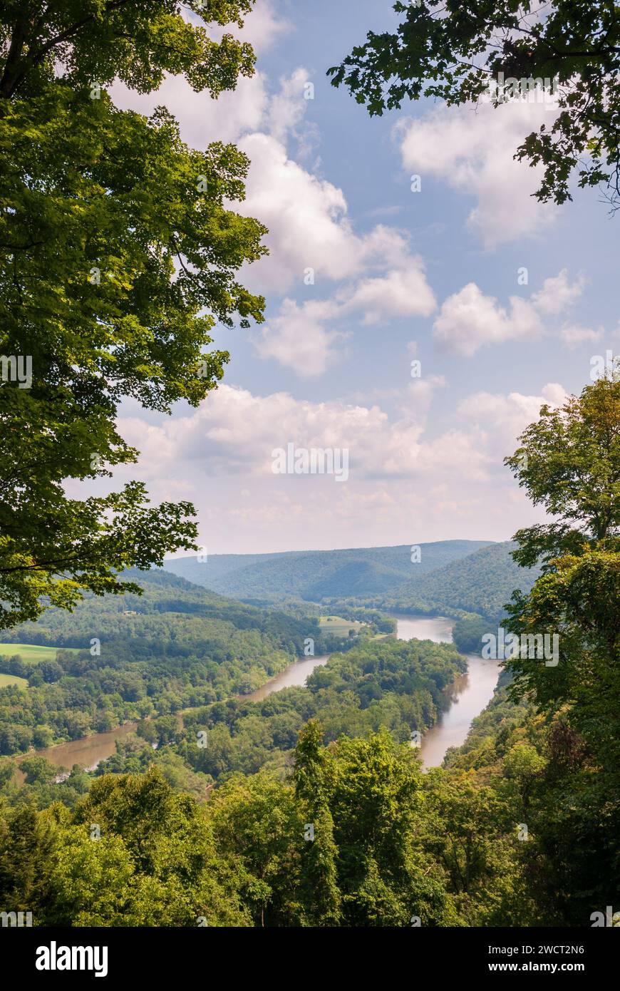 Allegheny National Forest Overlook of the Allegheny River in ...