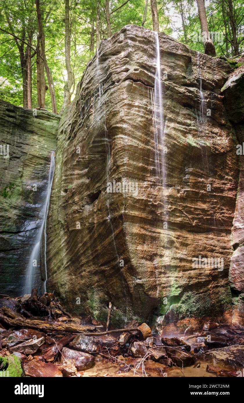 Massive Boulders at Rimrock in the Allegheny National Forest Stock ...