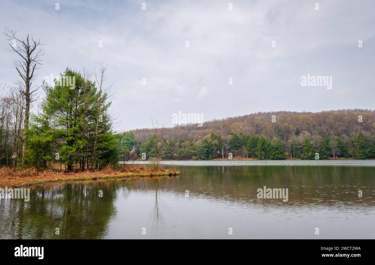 Allegheny National Forest Overlook of the Allegheny River in ...