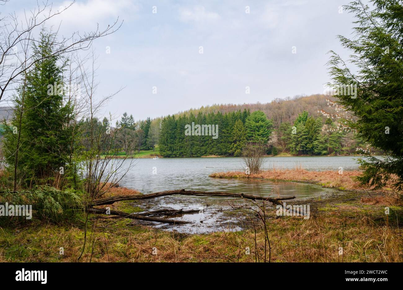 Allegheny National Forest Overlook of the Allegheny River in ...