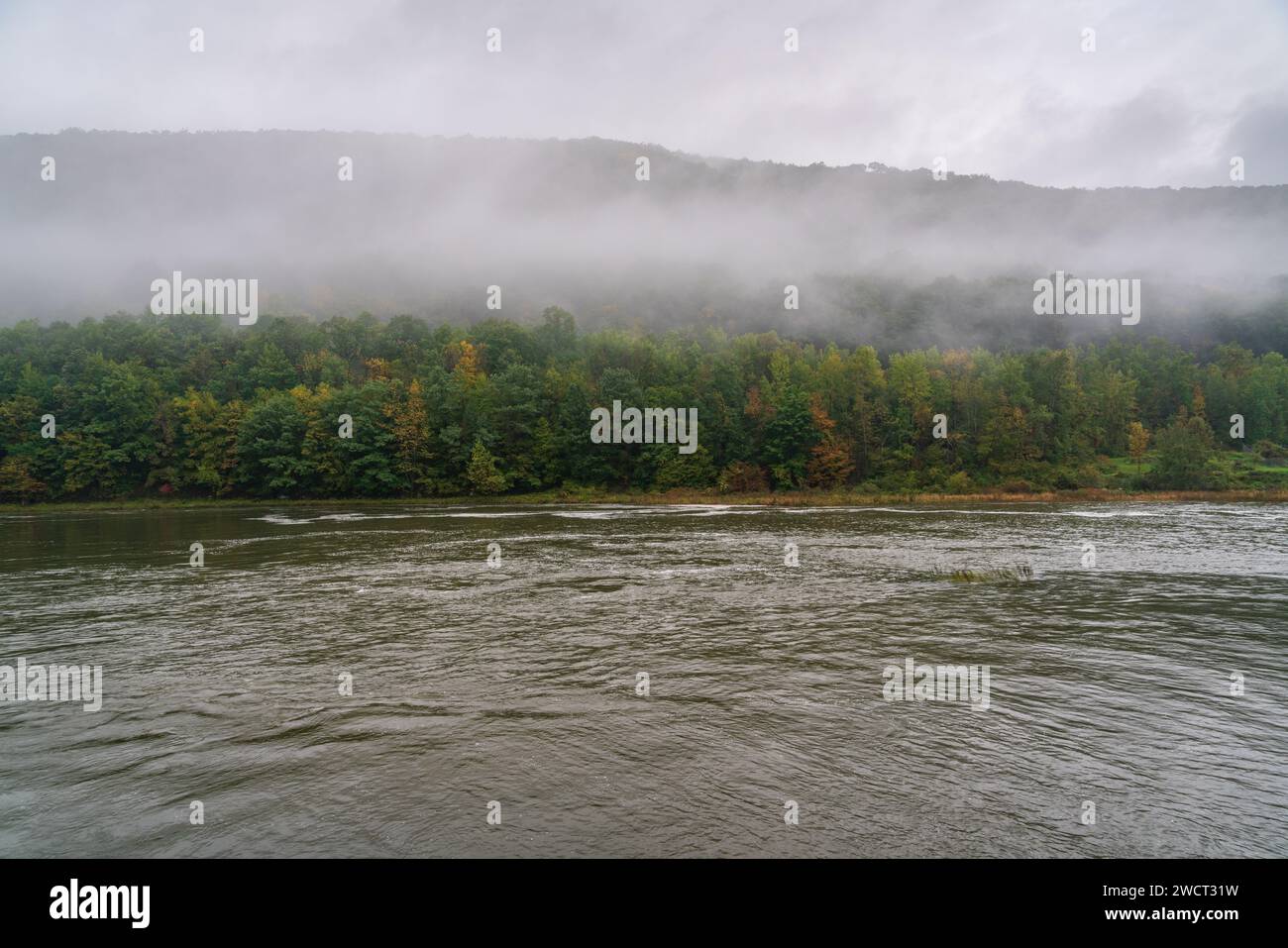 Allegheny National Forest Overlook of the Allegheny River in ...