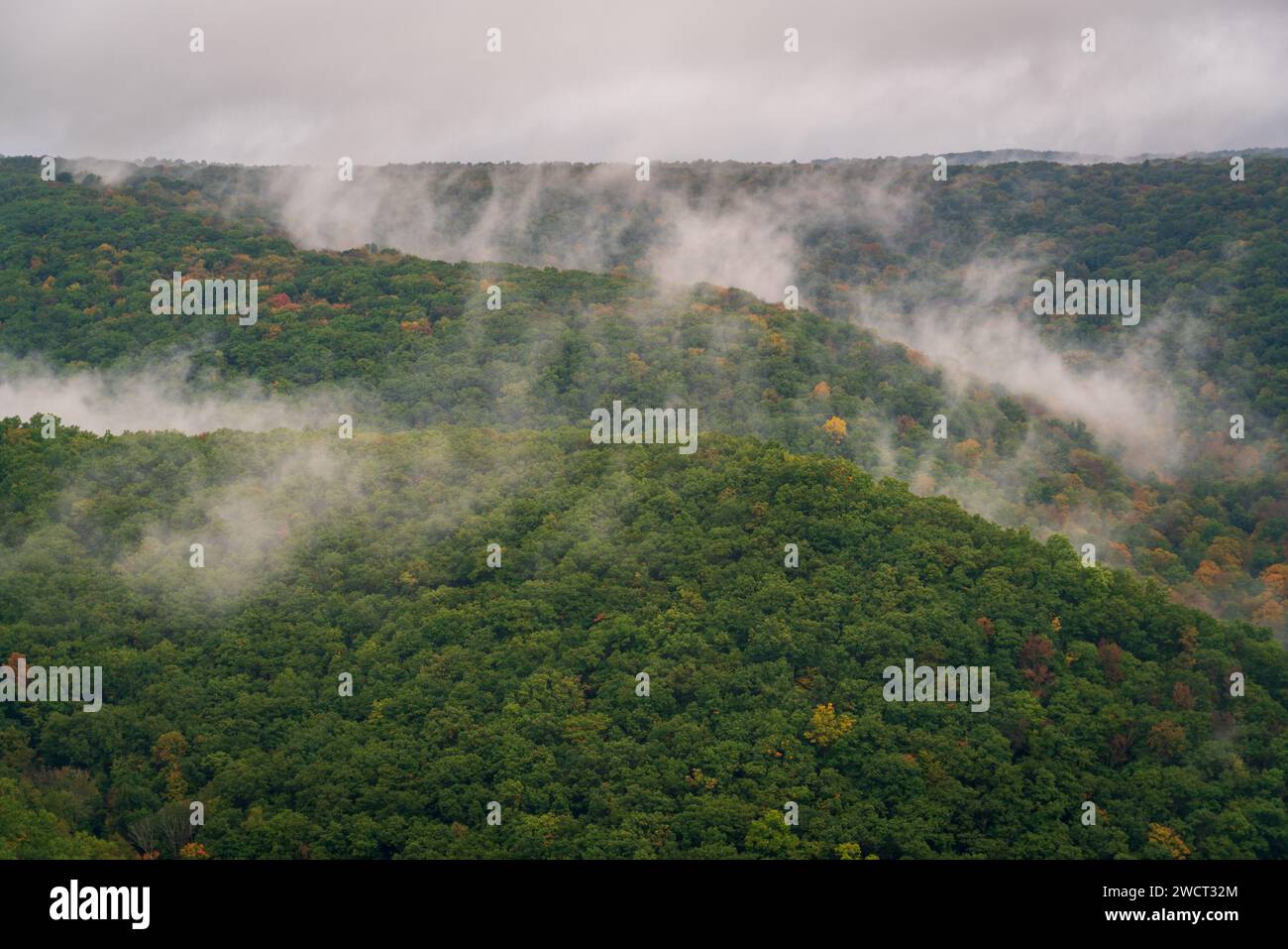 Allegheny national forest landscapes hi-res stock photography and ...
