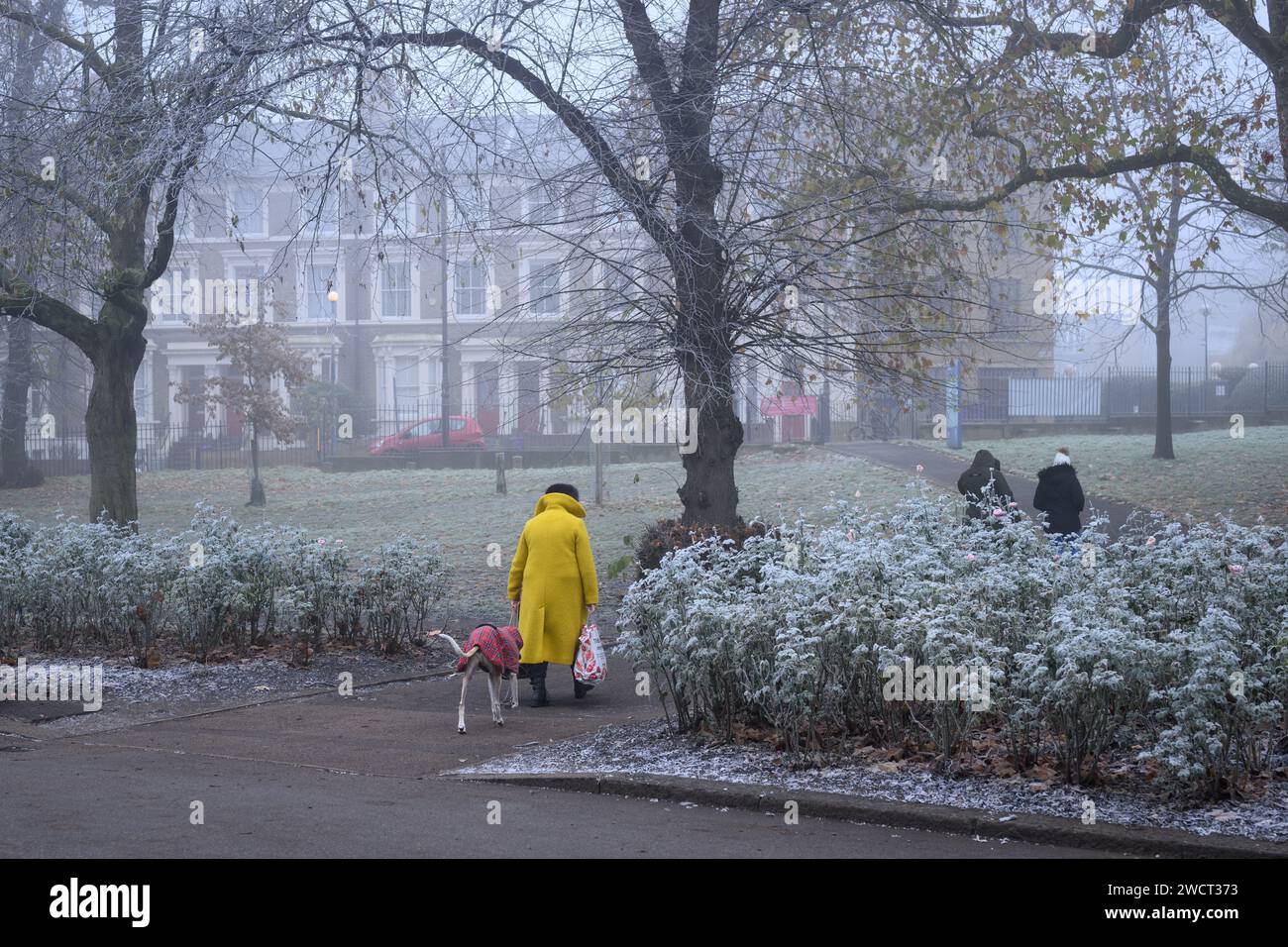 11th December 2022: A foggy day in Victoria Park, Tower Hamlets, East ...
