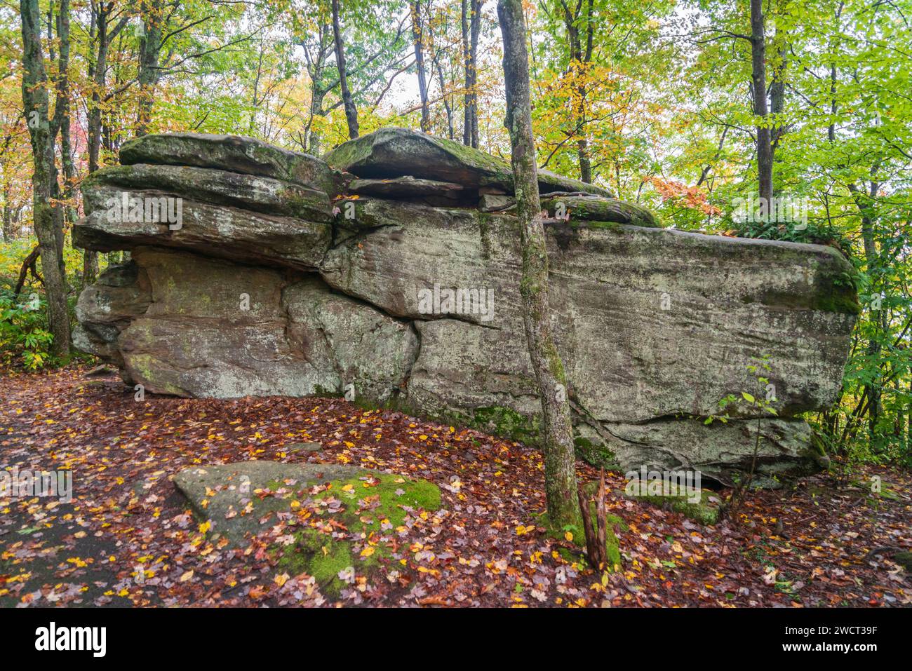 Massive Boulders at Rimrock in the Allegheny National Forest Stock ...