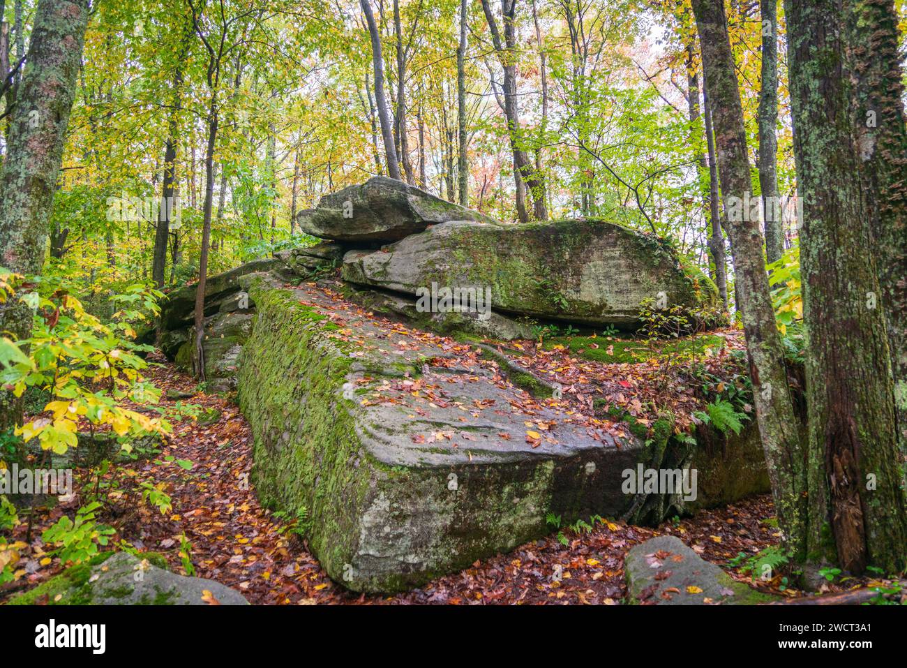Massive Boulders at Rimrock in the Allegheny National Forest Stock ...