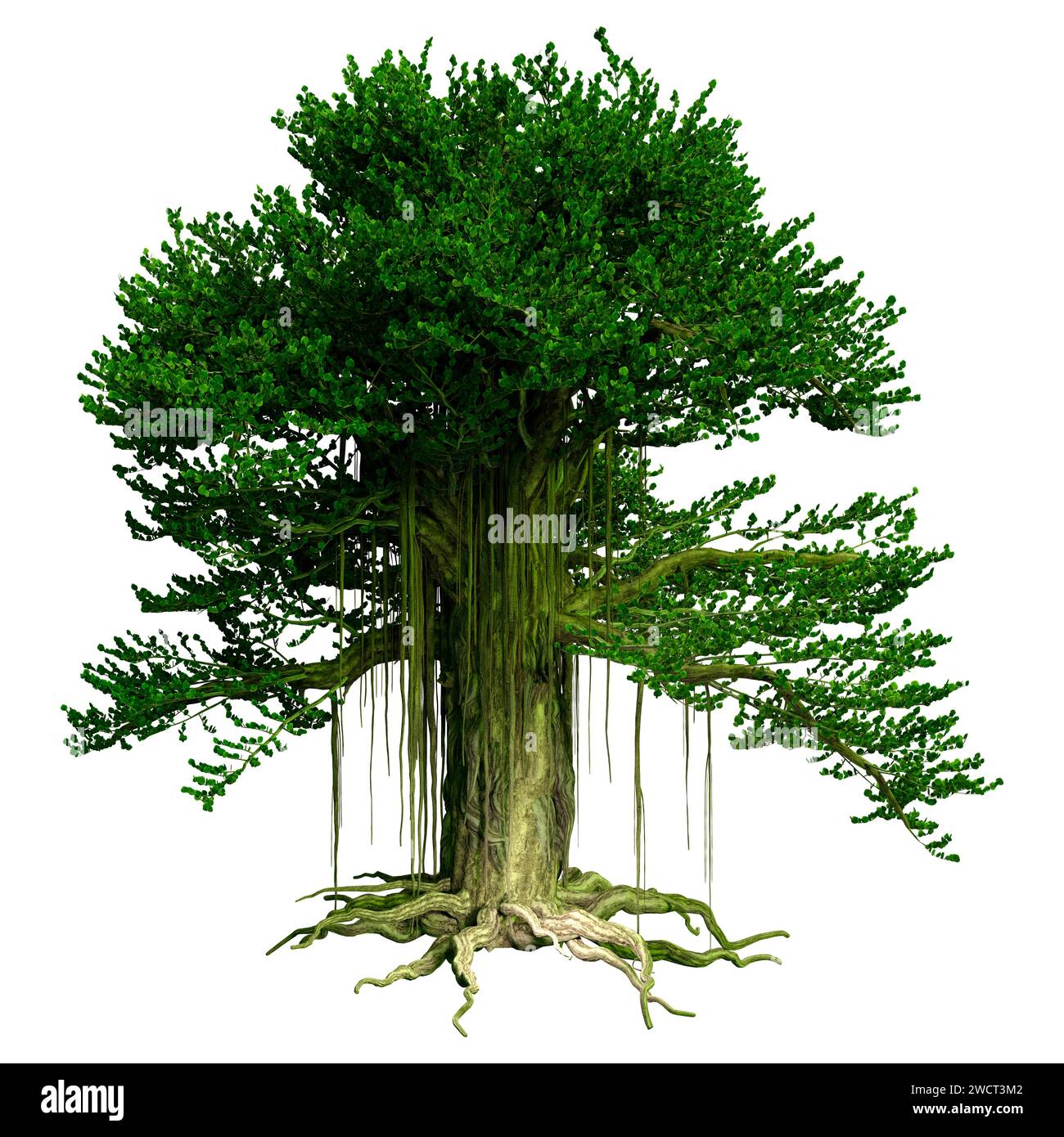 3D rendering of a banyan tree isolated on white background Stock Photo ...