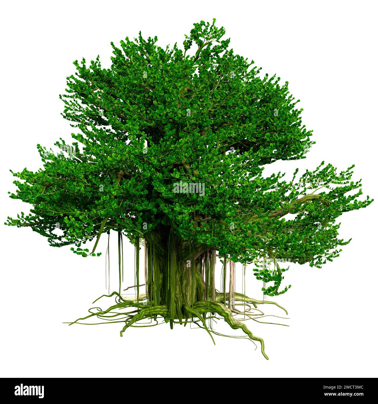 3D rendering of a banyan tree isolated on white background Stock Photo ...