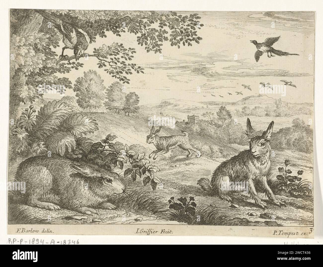 Third hare hops hi-res stock photography and images - Alamy