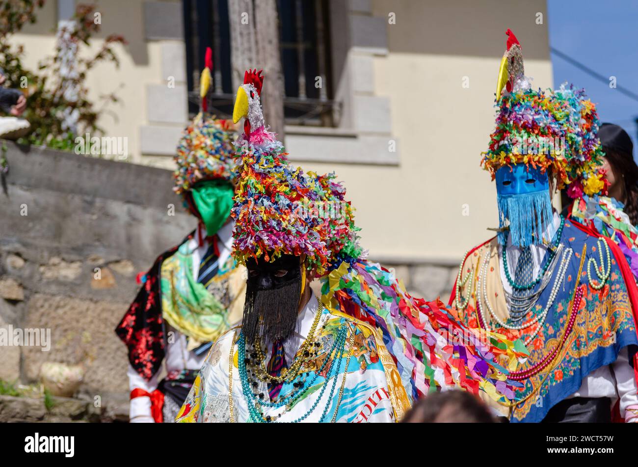 Galos de San Pedro: the traditional costume of the carnival of A ...