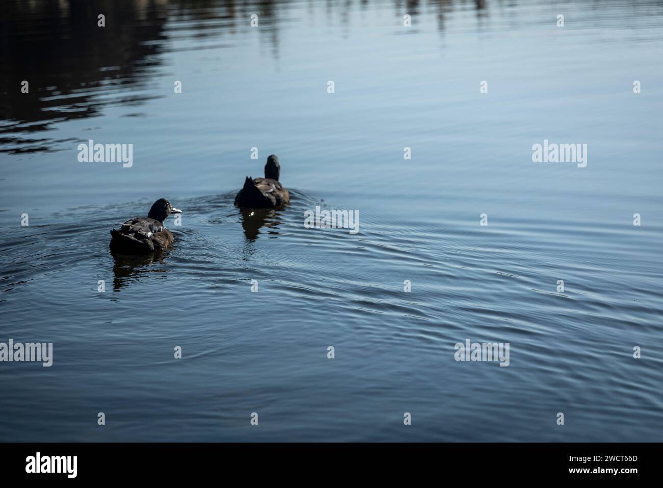 Hatta, Dubai, United Arab Emirates. 13th January 2024. The beautiful ...