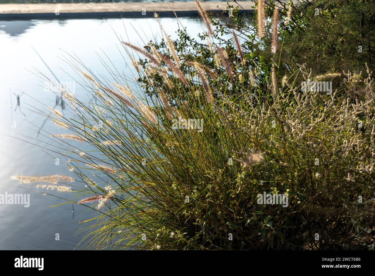 Hatta, Dubai, United Arab Emirates. 13th January 2024. The beautiful ...