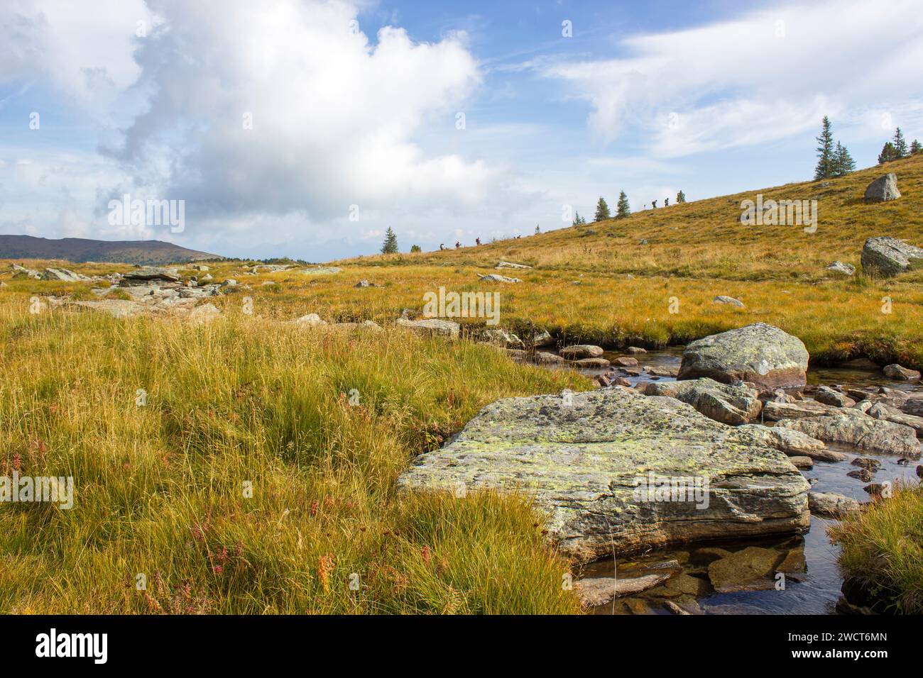 A clear mountain stream on the green meadows in the Austrian Alps ...
