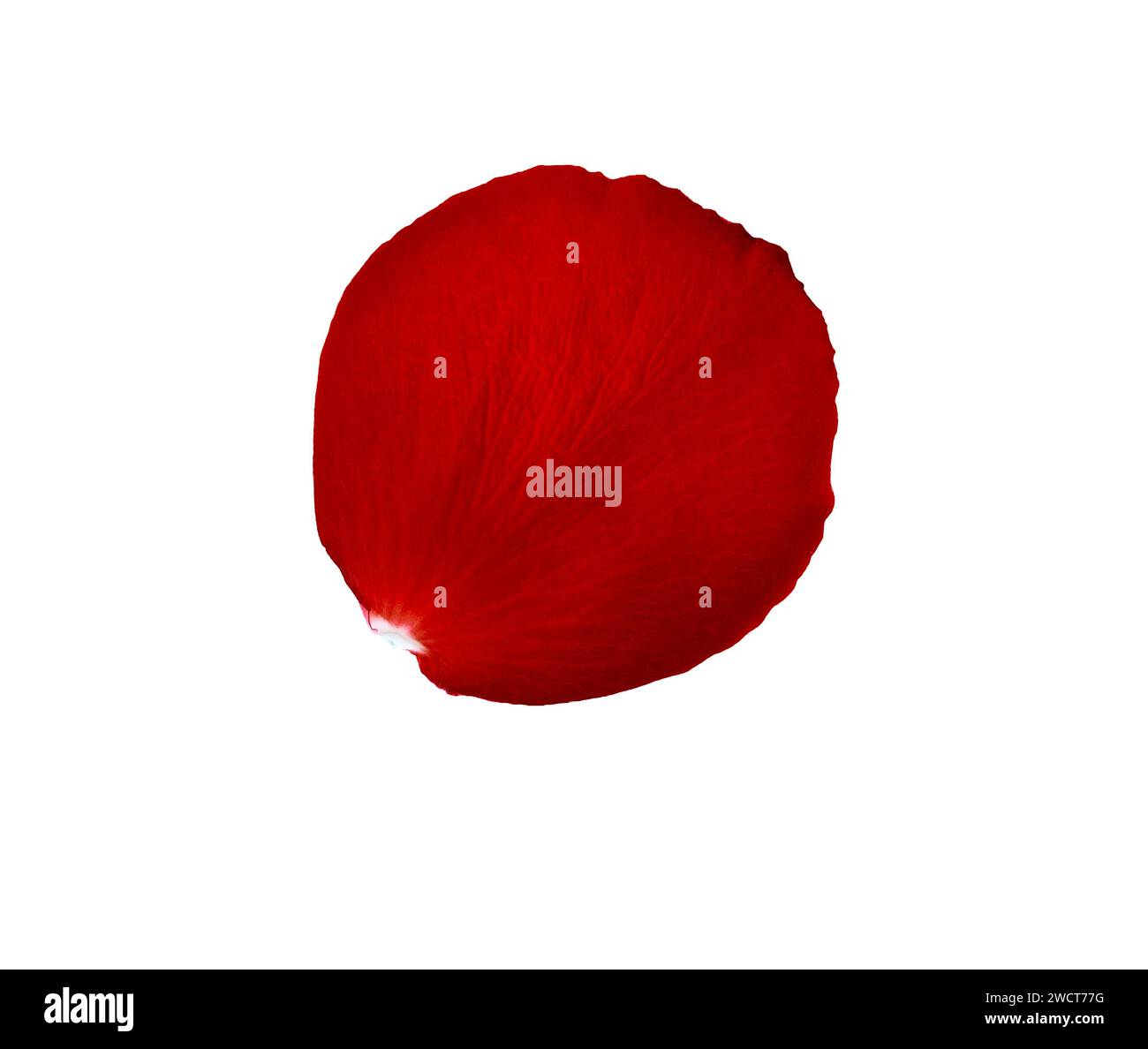 A romantic view Cut Out Stock Images & Pictures - Alamy