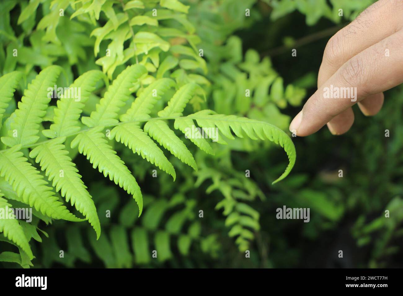 Touch reaction hi-res stock photography and images - Alamy