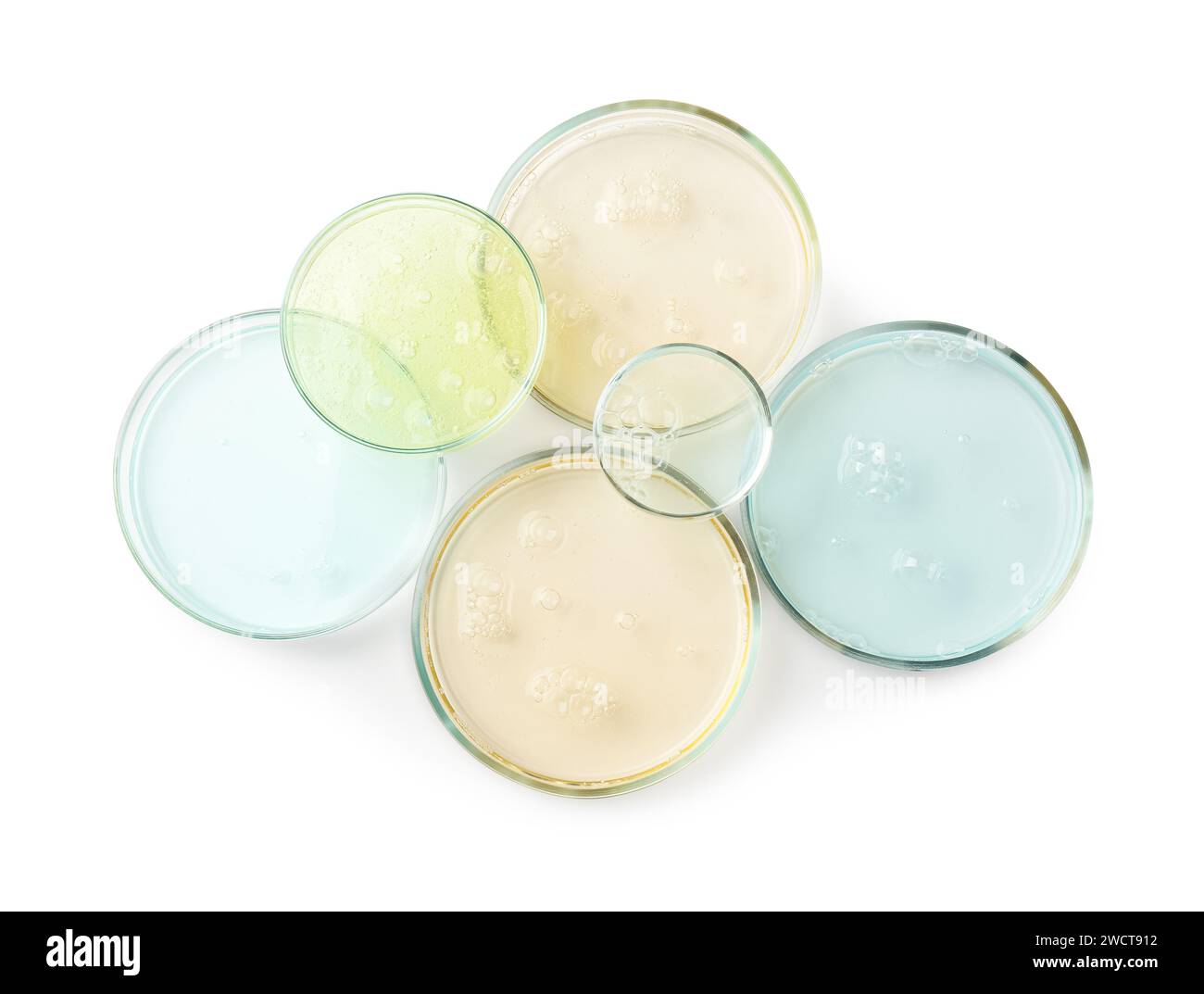 Petri dishes with different liquid samples on white background, top ...