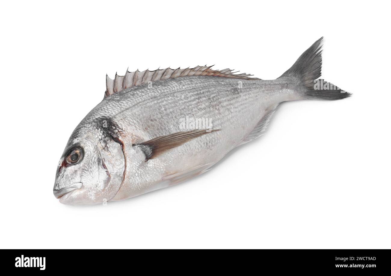 Fresh raw dorado fish isolated on white Stock Photo - Alamy