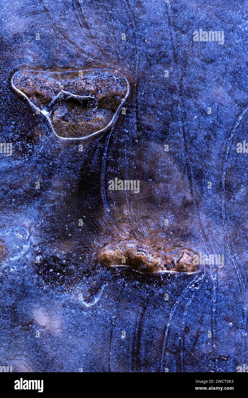 Close-up of a frozen puddle with intricate ice patterns and trapped ...