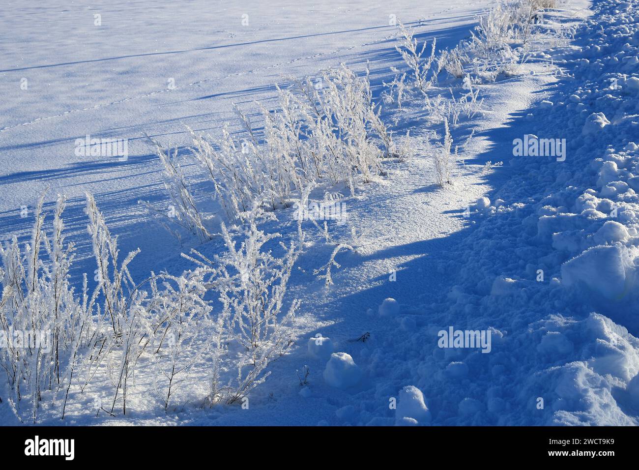 Frost kissed path hi-res stock photography and images - Alamy