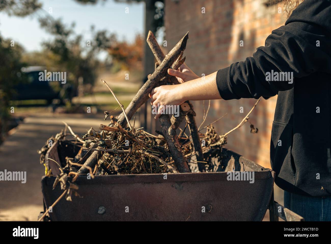 A close-up of a person's hands placing gathered branches into a metal ...