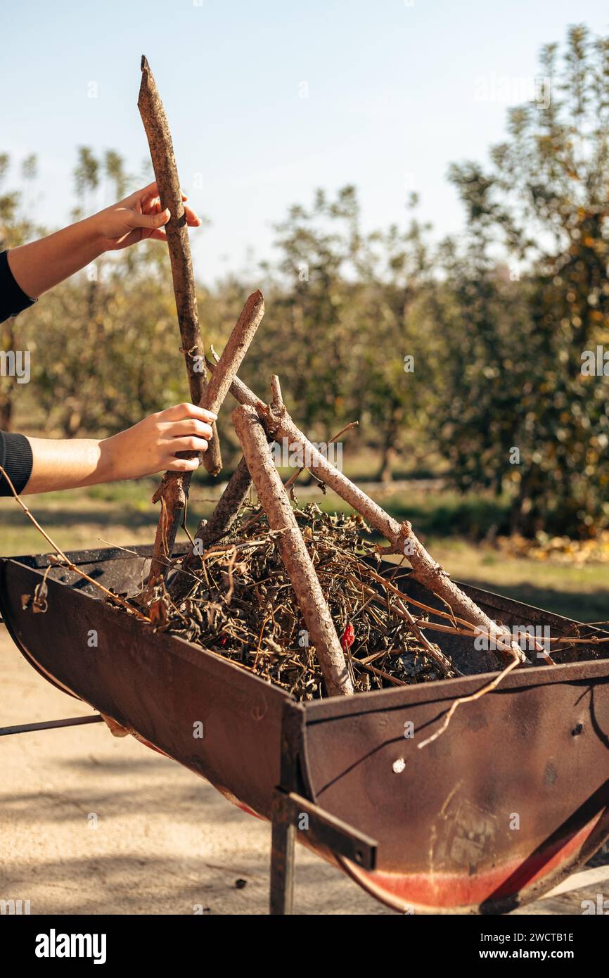 Person loading sticks and garden waste into a metal wheelbarrow on a ...