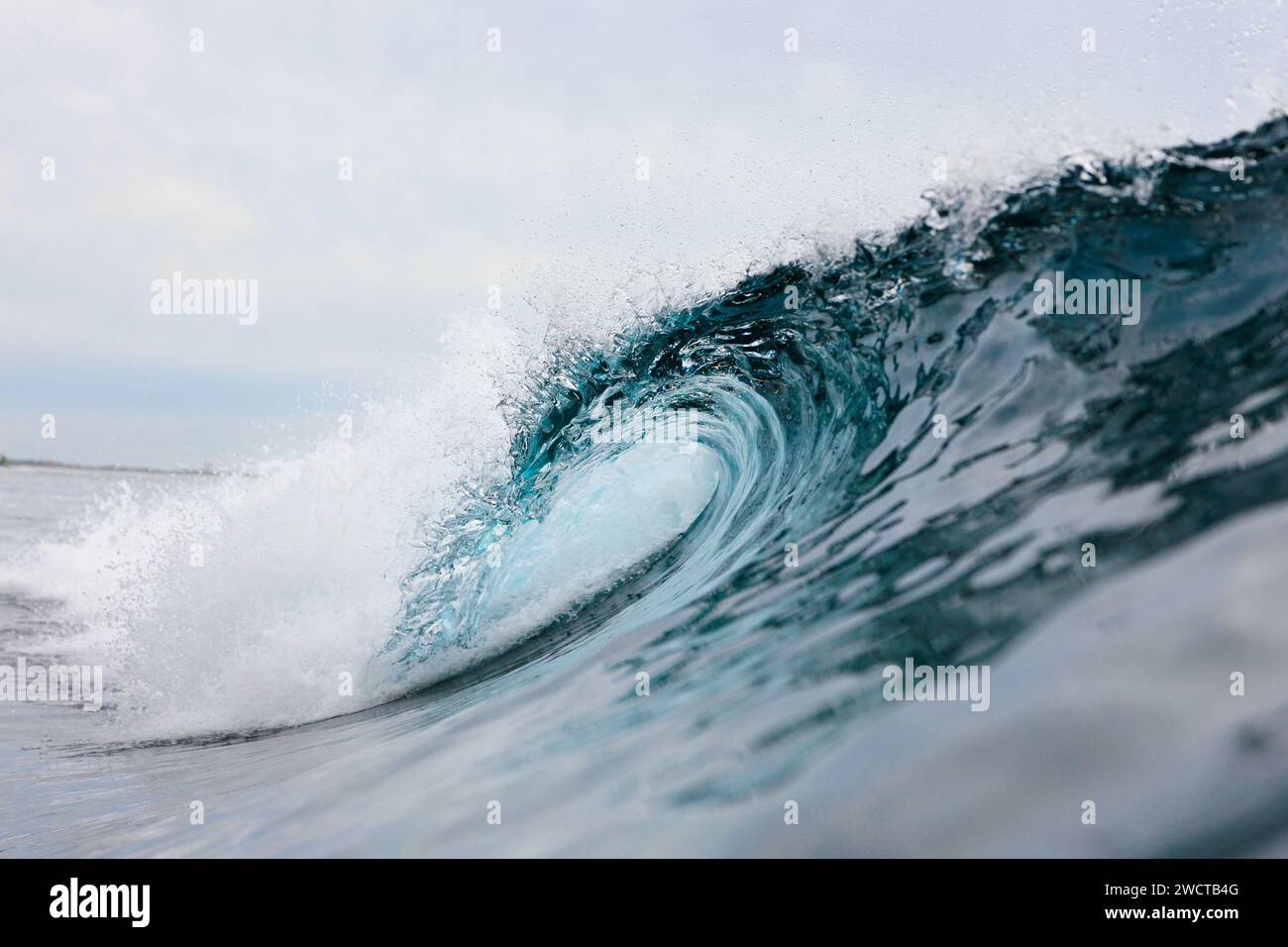 A close-up shot captures the dynamic beauty of a curling ocean wave ...