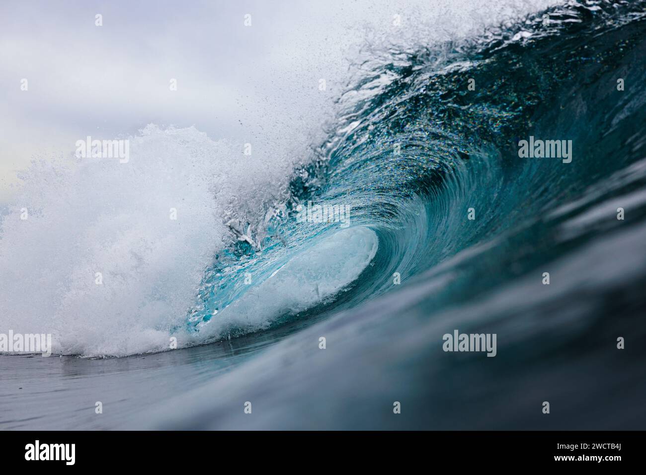 A dynamic close-up view of a powerful ocean wave as it begins to crest ...