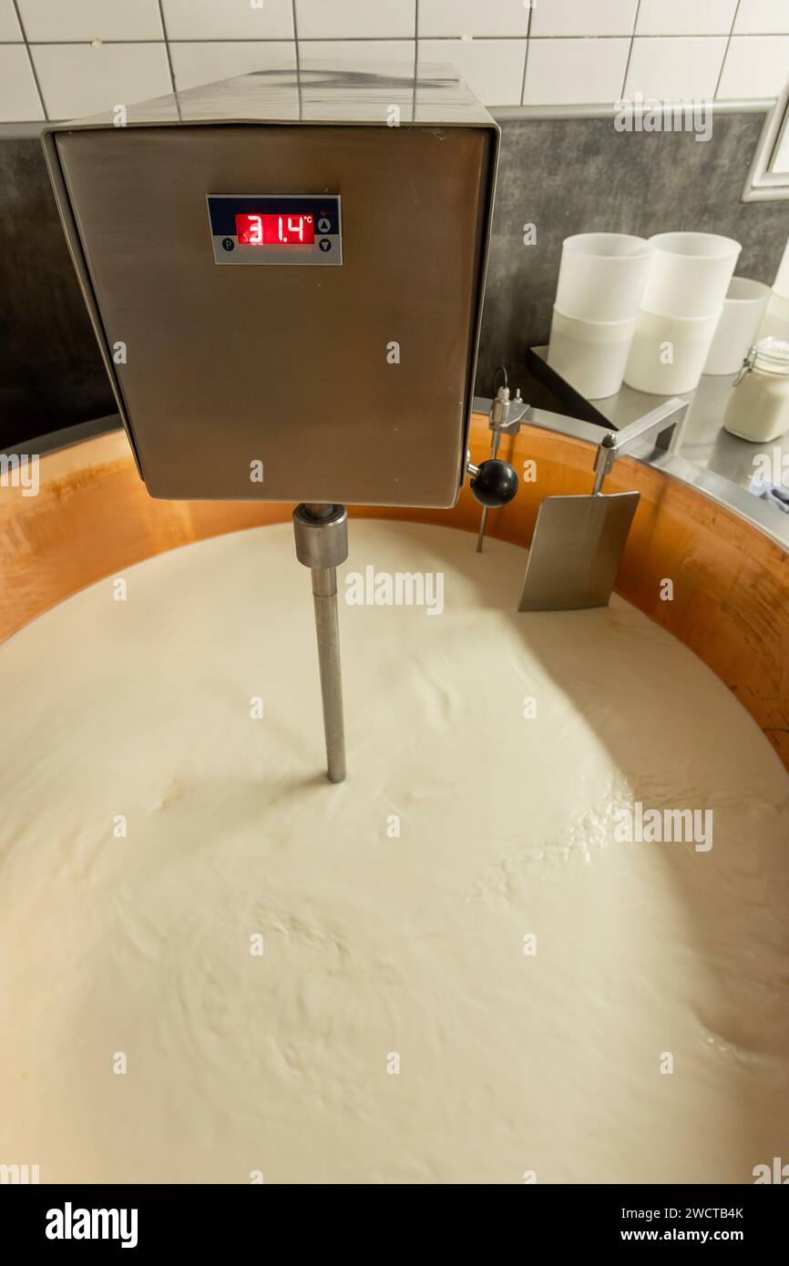 From above of fresh milk curdles in a wooden vat under precise ...