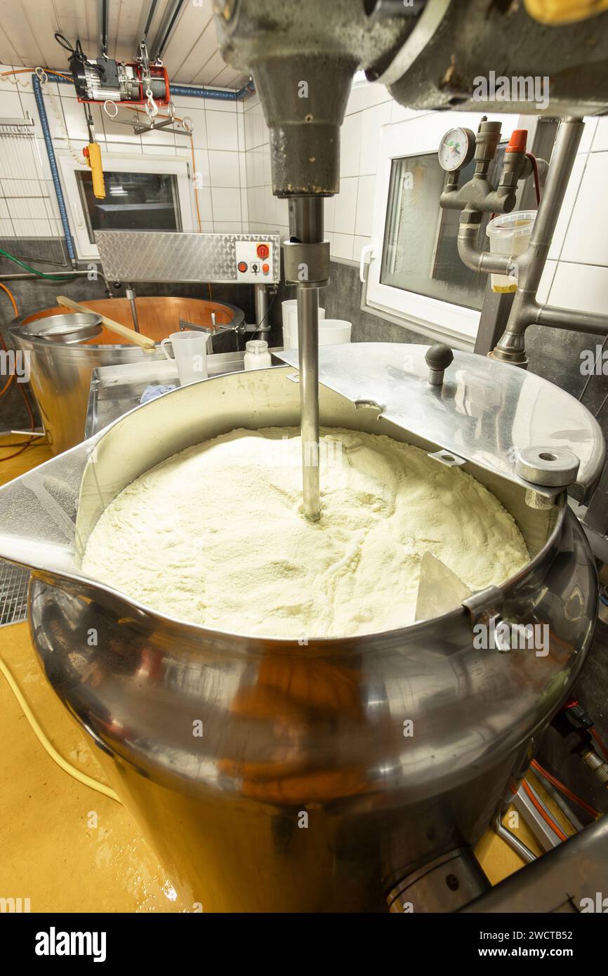 A cheese maker oversees the curdling milk in a large stainless steel ...