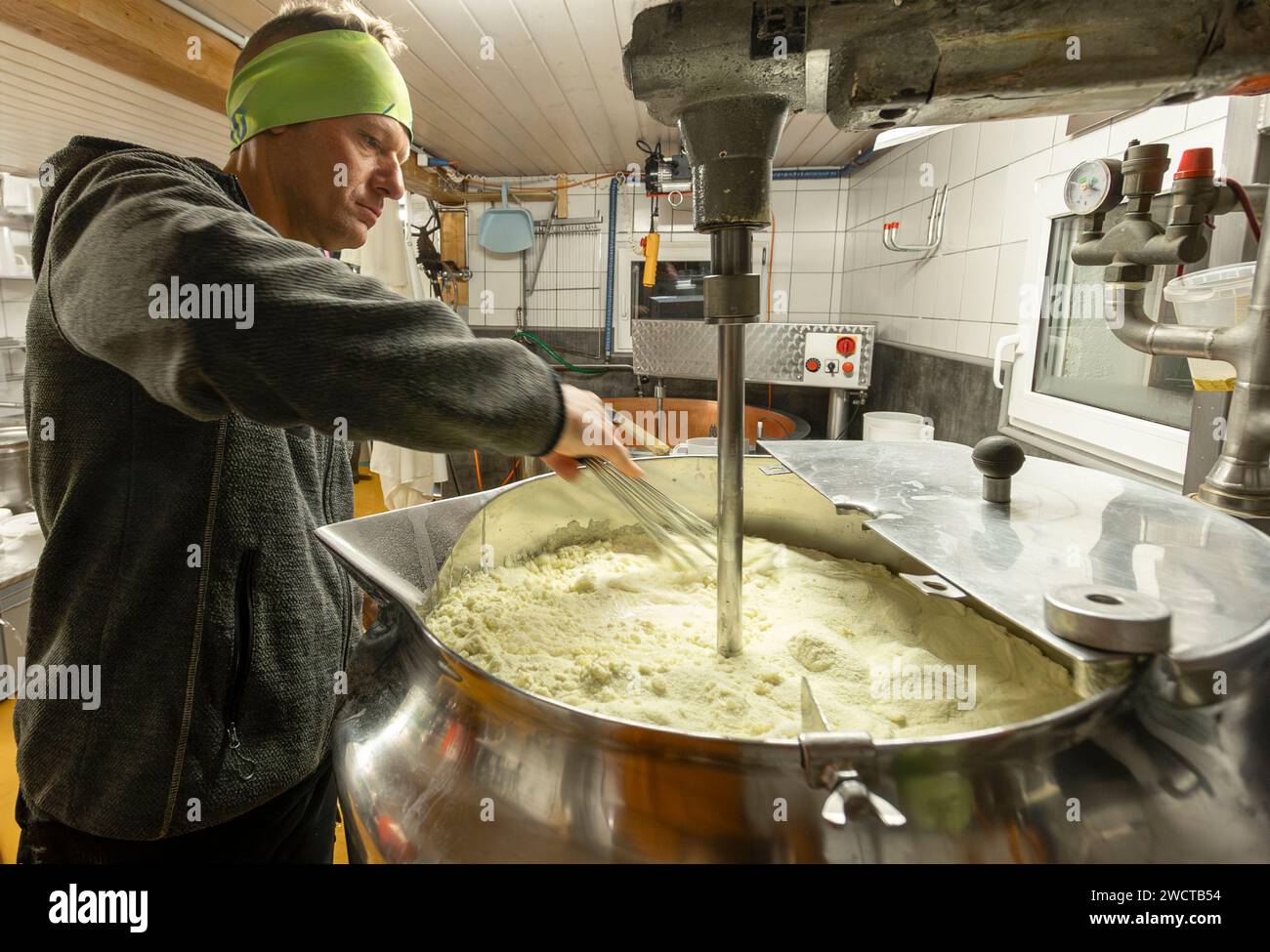 A focused cheese maker stirs curdled milk in a large vat engaged in the ...