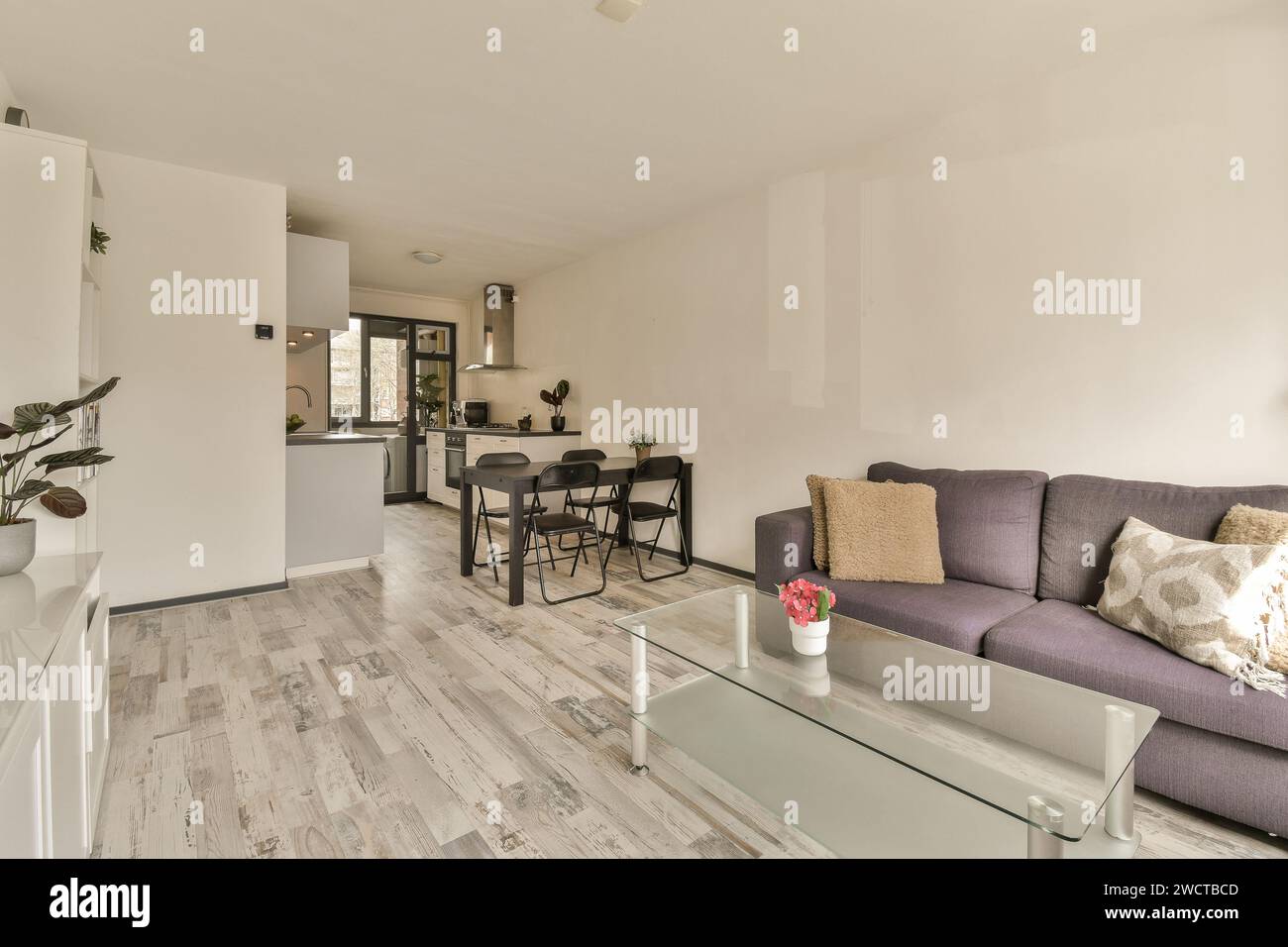 A contemporary living room seamlessly connects to an open-plan kitchen ...