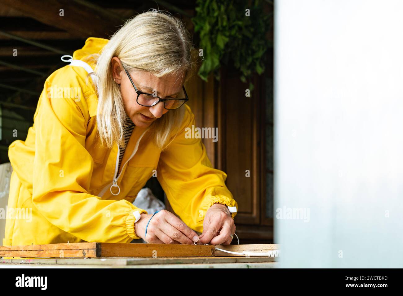 Modern beehive apiary construction hi-res stock photography and images ...