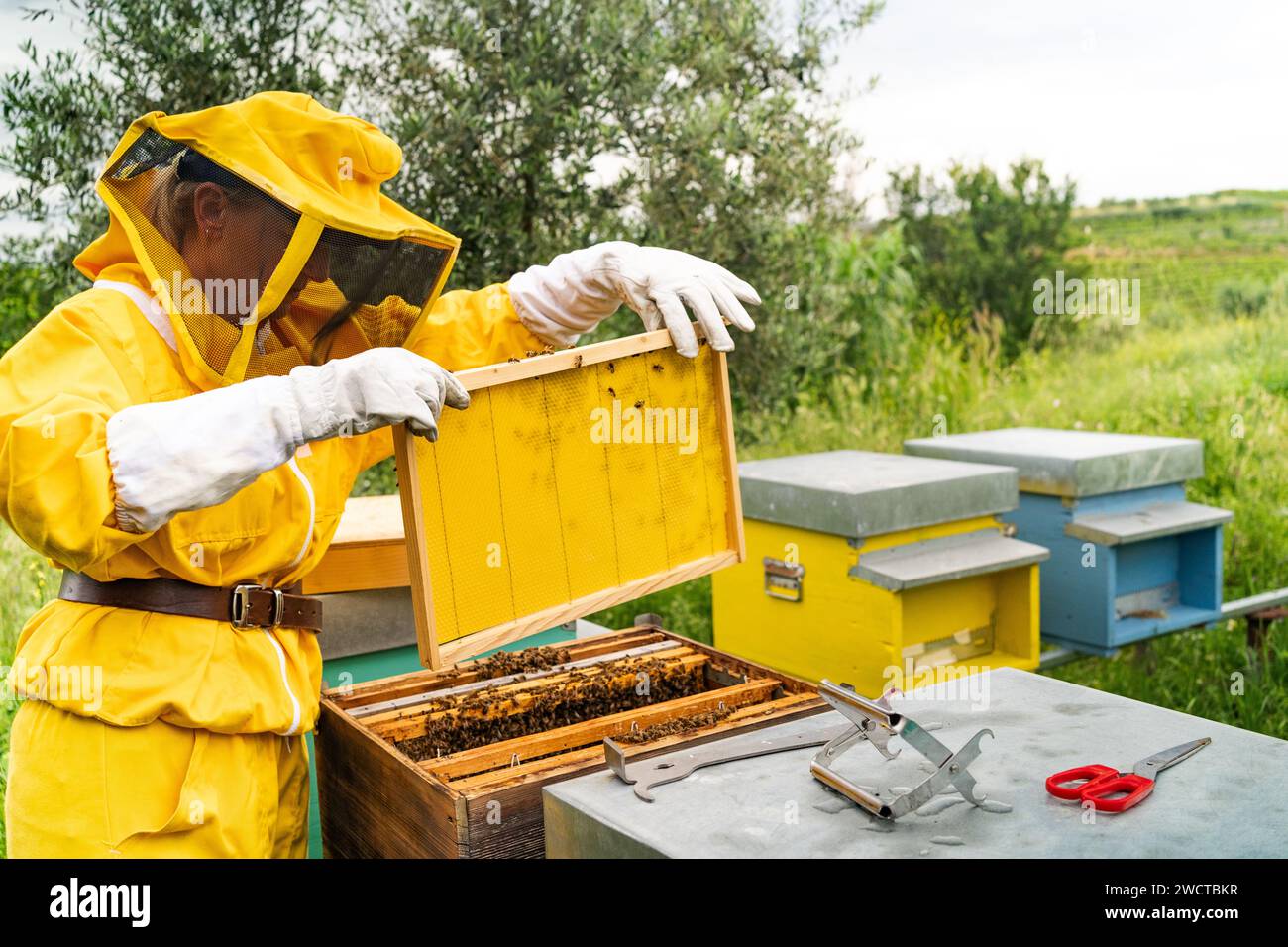 Side view of unrecognizable beekeeper in yellow protective uniform and ...