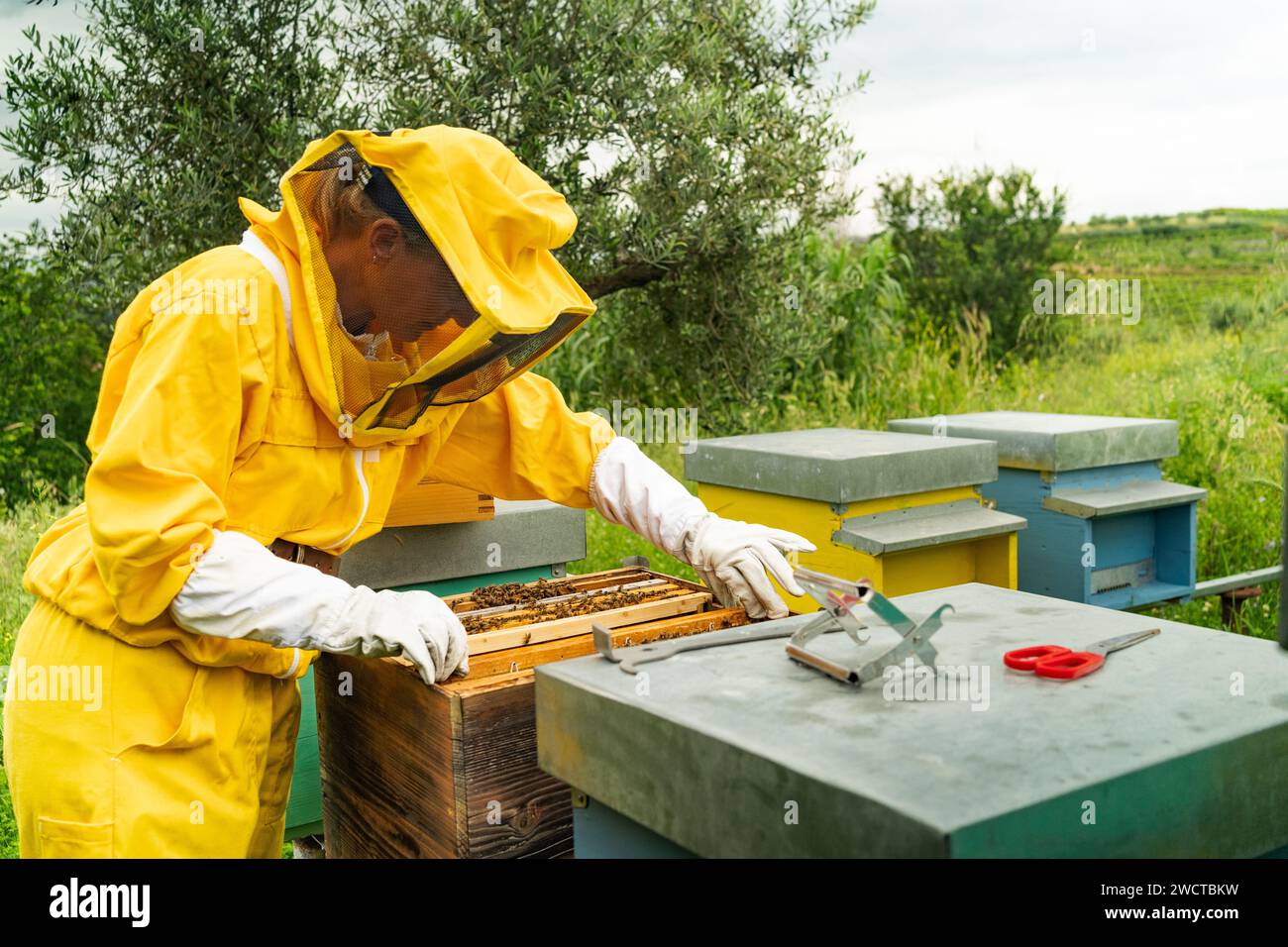 Side view of unrecognizable beekeeper in yellow protective uniform and ...