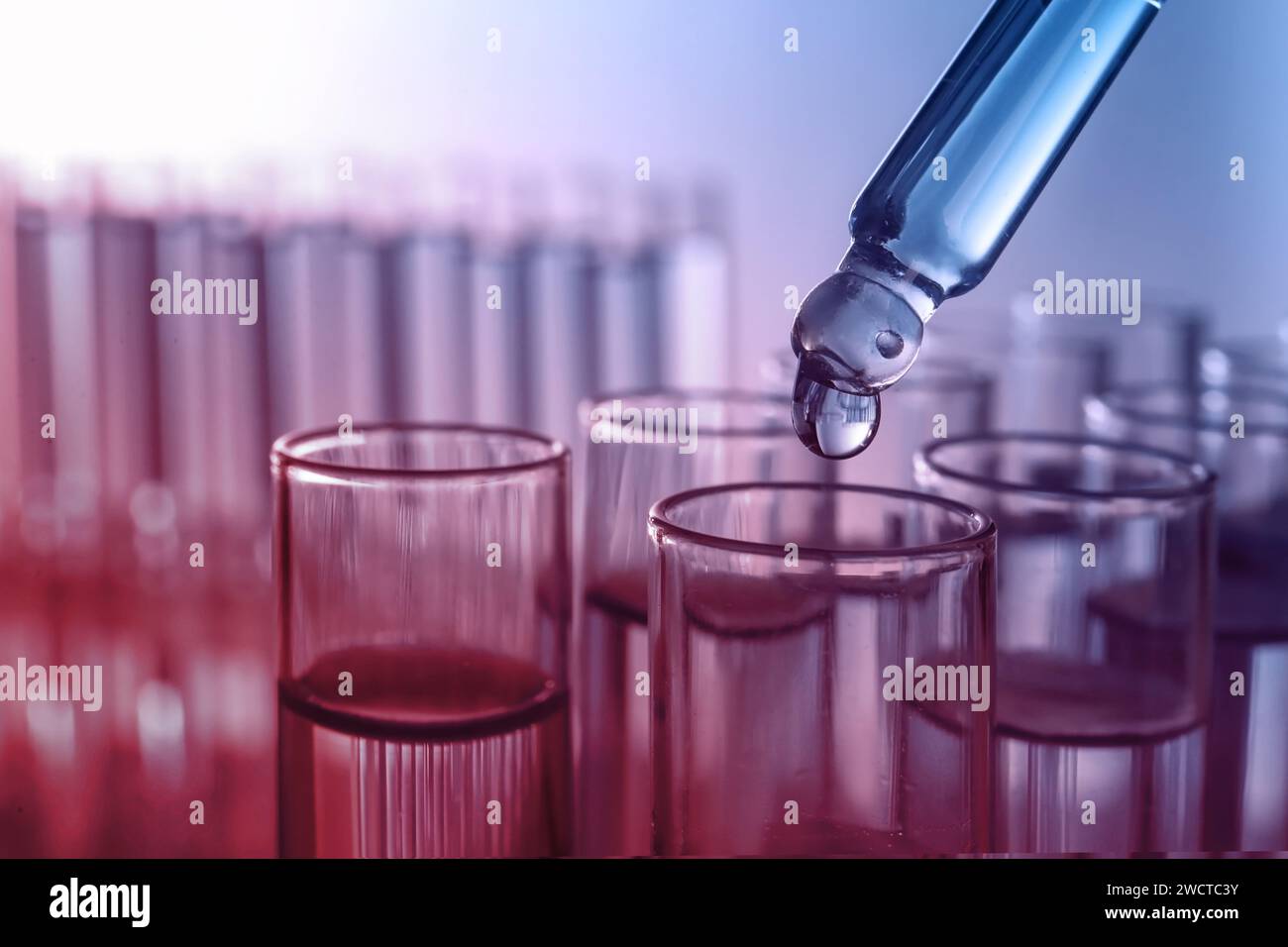 Dripping reagent into test tube with sample, closeup. Color toned Stock ...