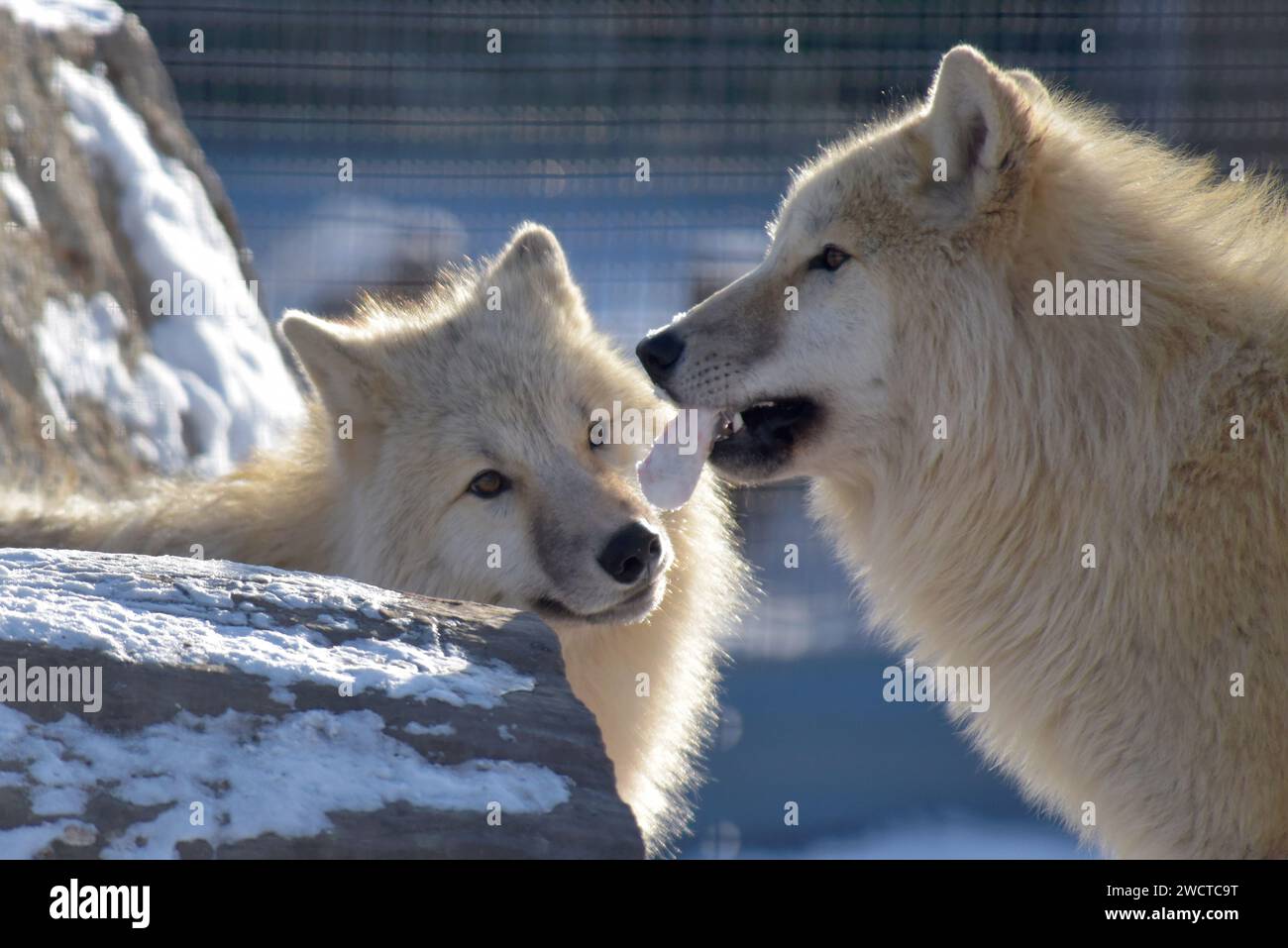 Vinnytsia zoo hi-res stock photography and images - Alamy