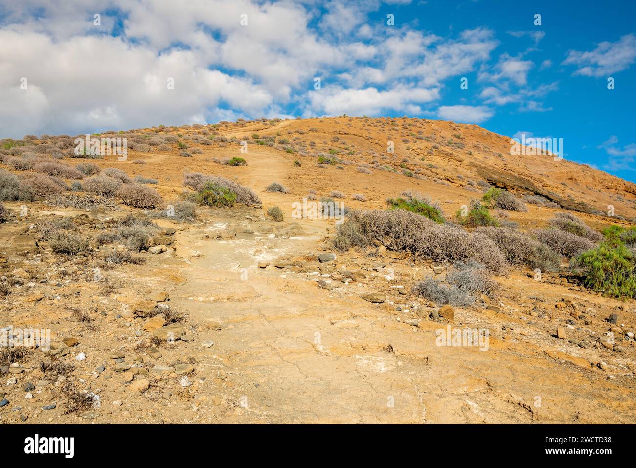 The yellow cone of Montana Amarilla, Tenerife. The yellow colour is due ...
