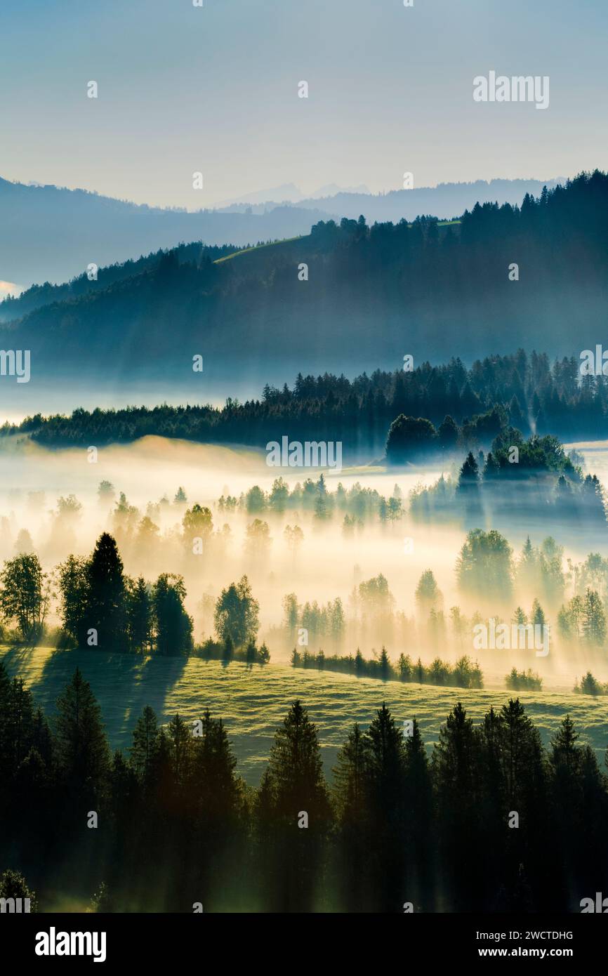 Blick über das Hochmoor Rothenthurm im Kanton Schyz, Schweiz Stock ...