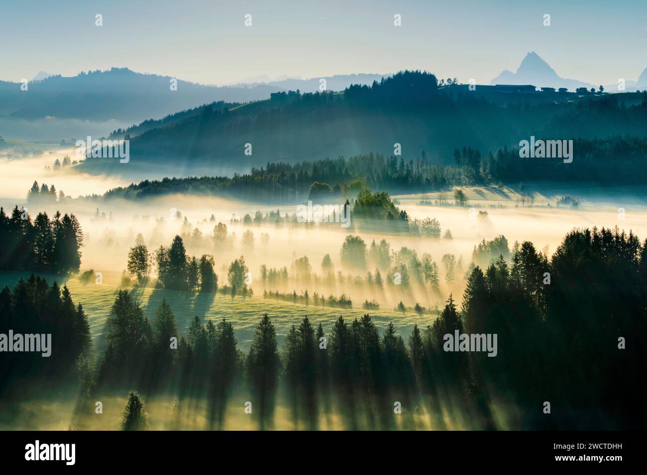 Das moorland hi-res stock photography and images - Alamy