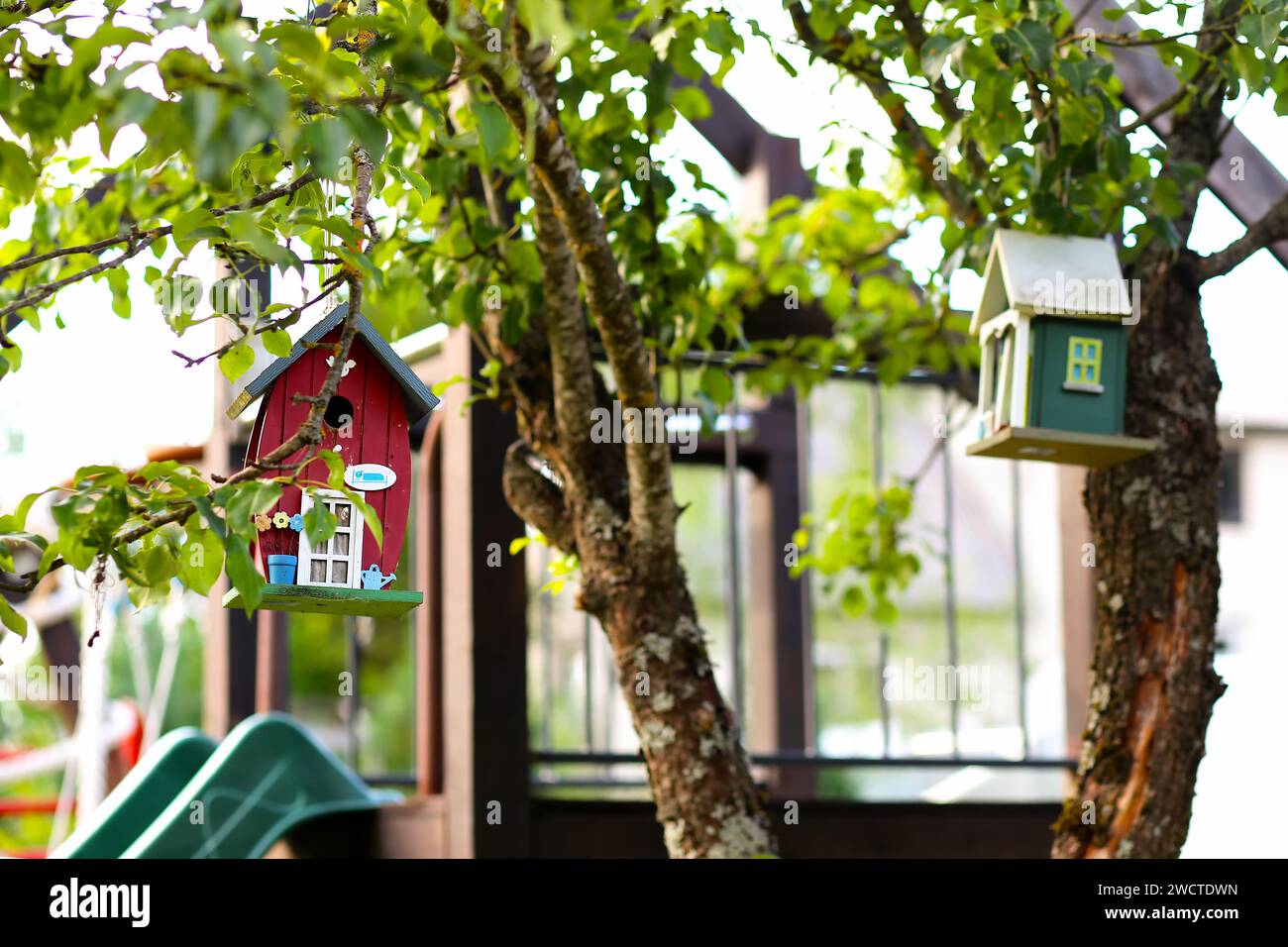 Wooden blue birdhouse on a apple tree in the garden. Simple ?ute ...
