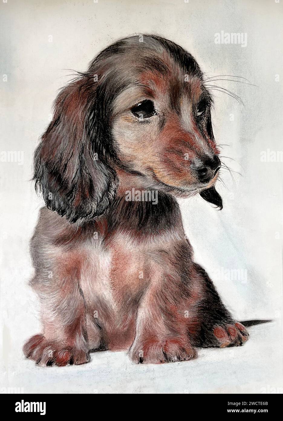 Abstract puppy hi-res stock photography and images - Alamy