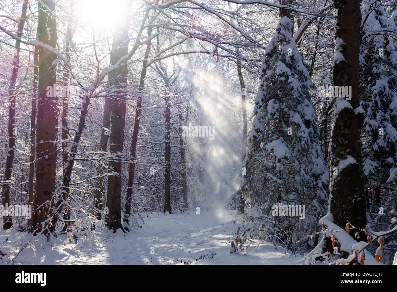 View of a frosty cold Bavarian winter landscape with lots of snow and ...