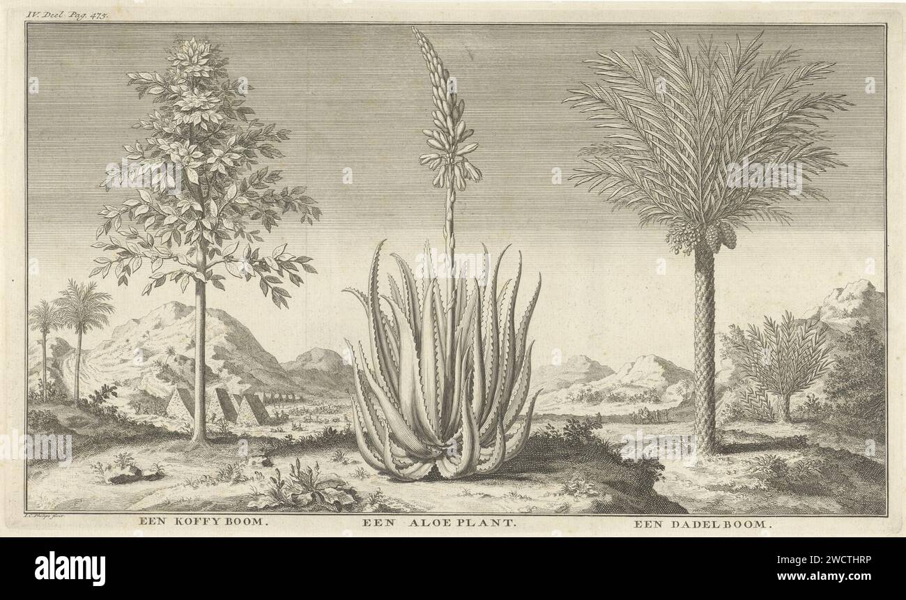 Landscape with a group of trees and plants, Jan Caspar Philips, 1731 ...
