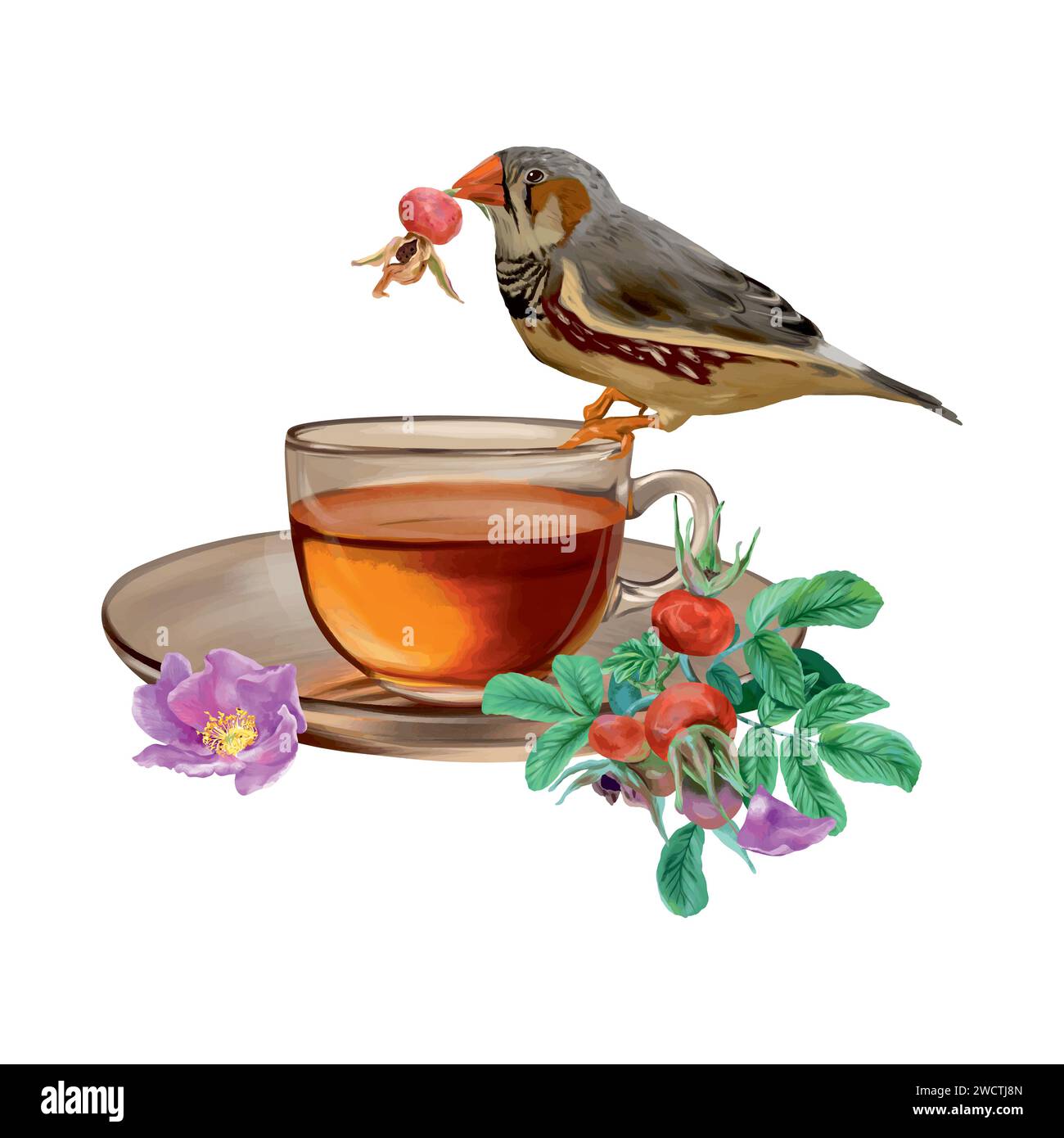 Cup of tea, rose hips, berries, flower, bird. Vector illustration in ...
