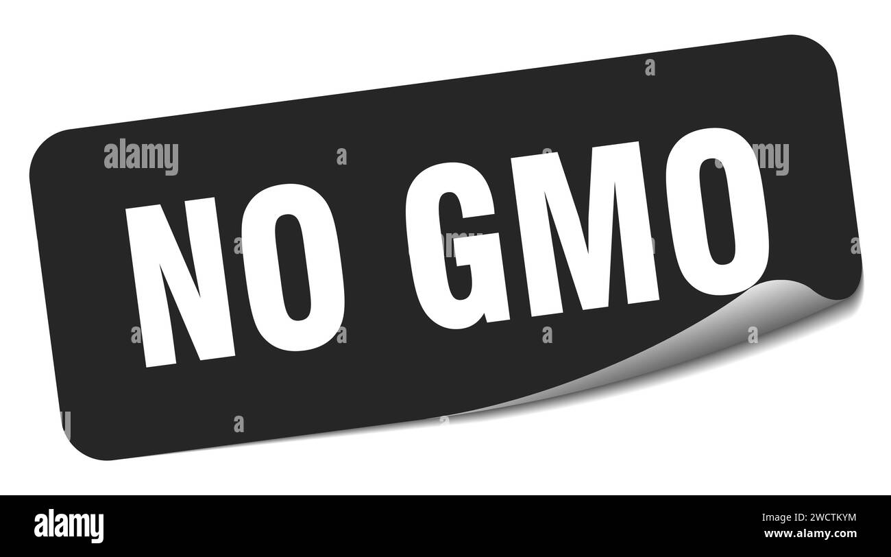 no gmo sticker. no gmo rectangular label isolated on white background Stock Vector Image & Art ...