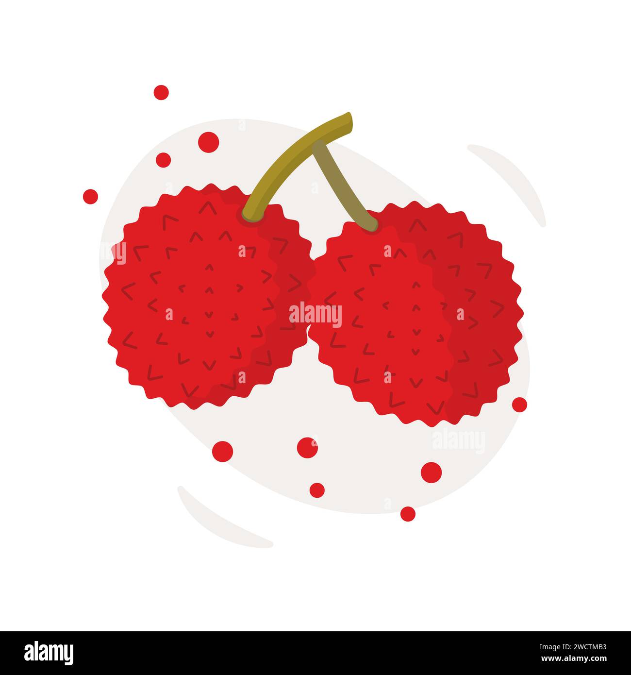 Tropical fruit - pair of lychee - icon set isolated on white background ...