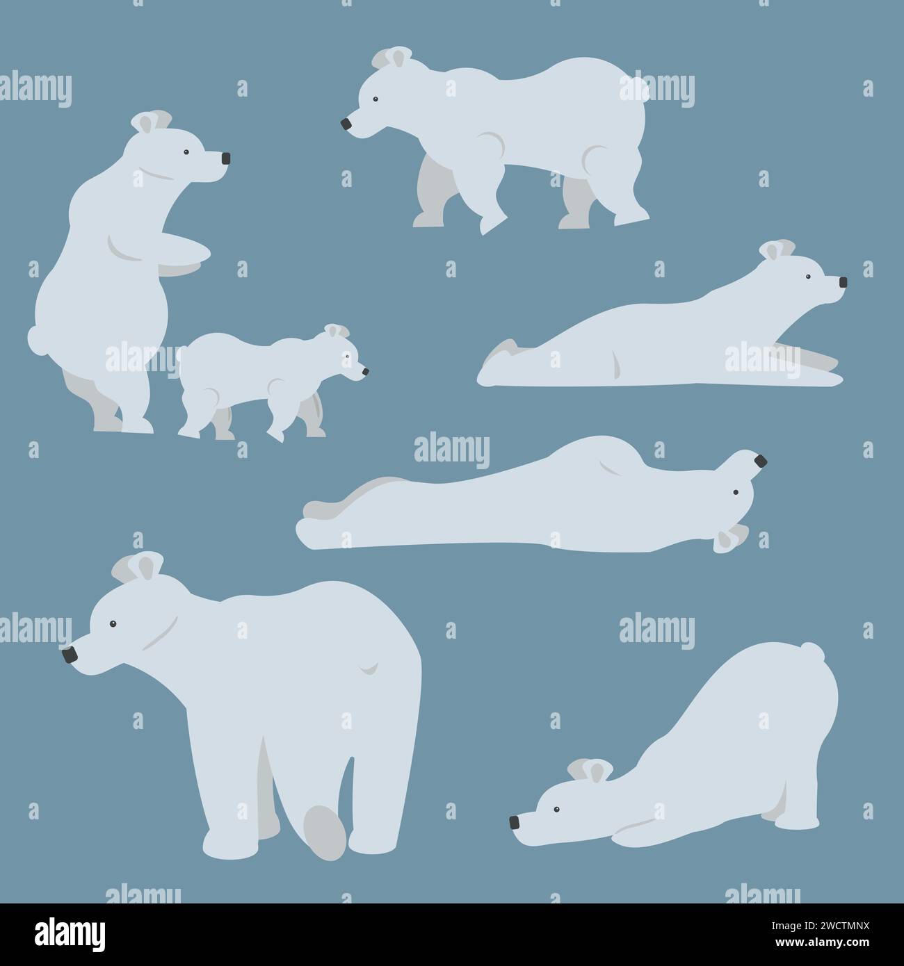 Set of adult polar bears and their young cubs in various poses ...
