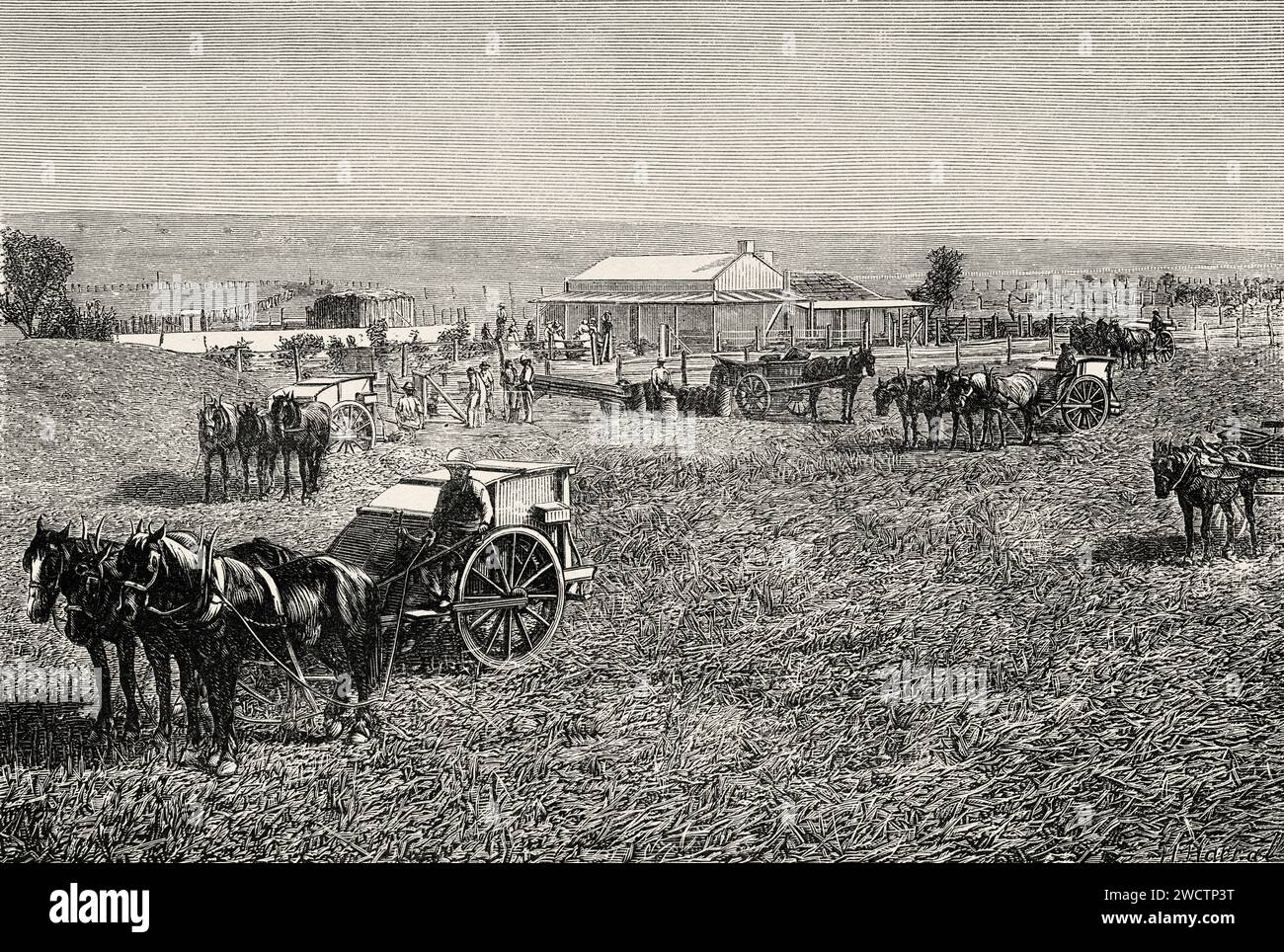 Settler Station. Bendigo. Victoria, Australia. Six Months in Australia ...