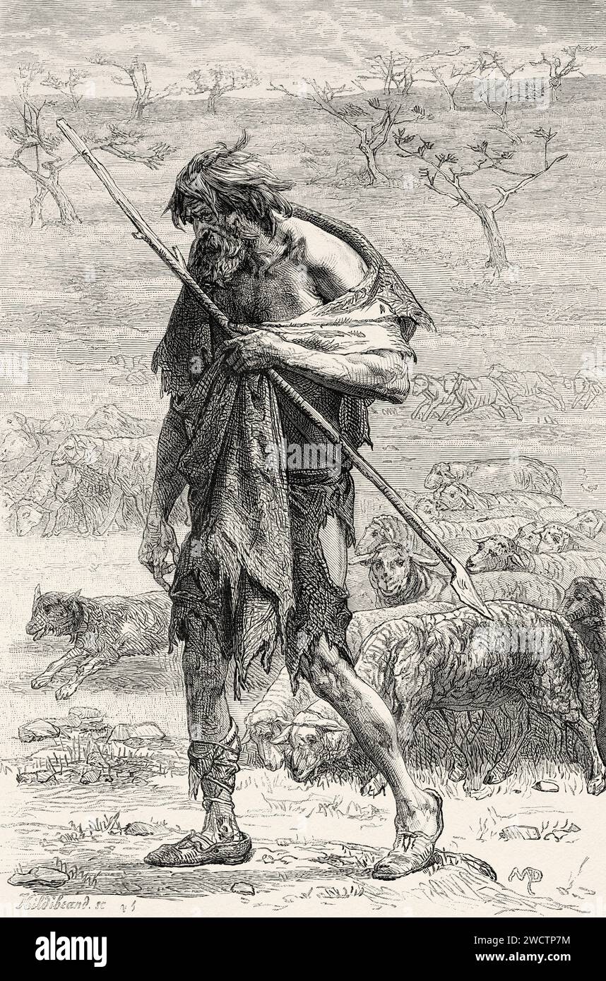 19th century Australian Shepherd, Victoria, Australia. Six Months in ...
