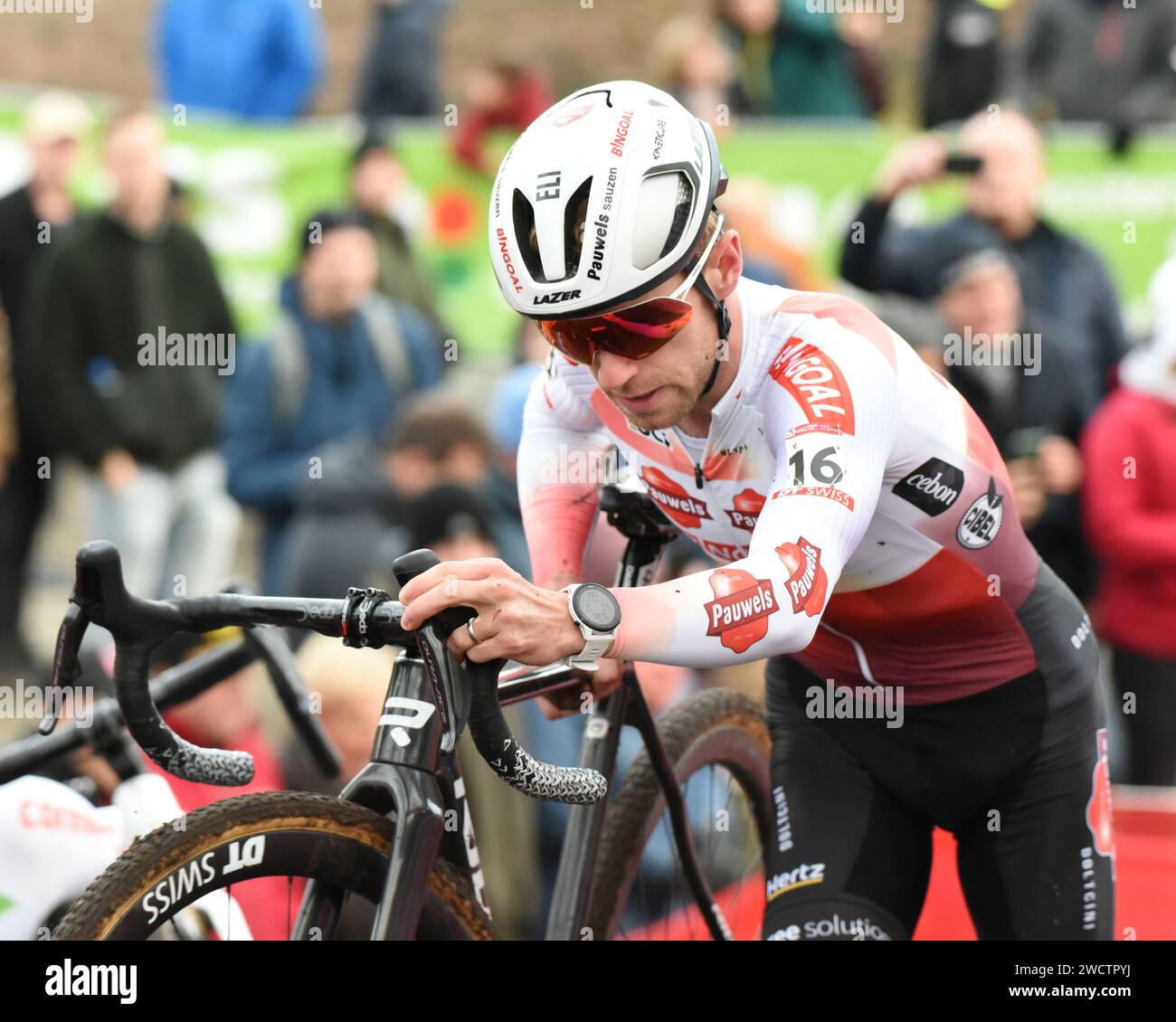 Belgian world champion hi-res stock photography and images - Alamy