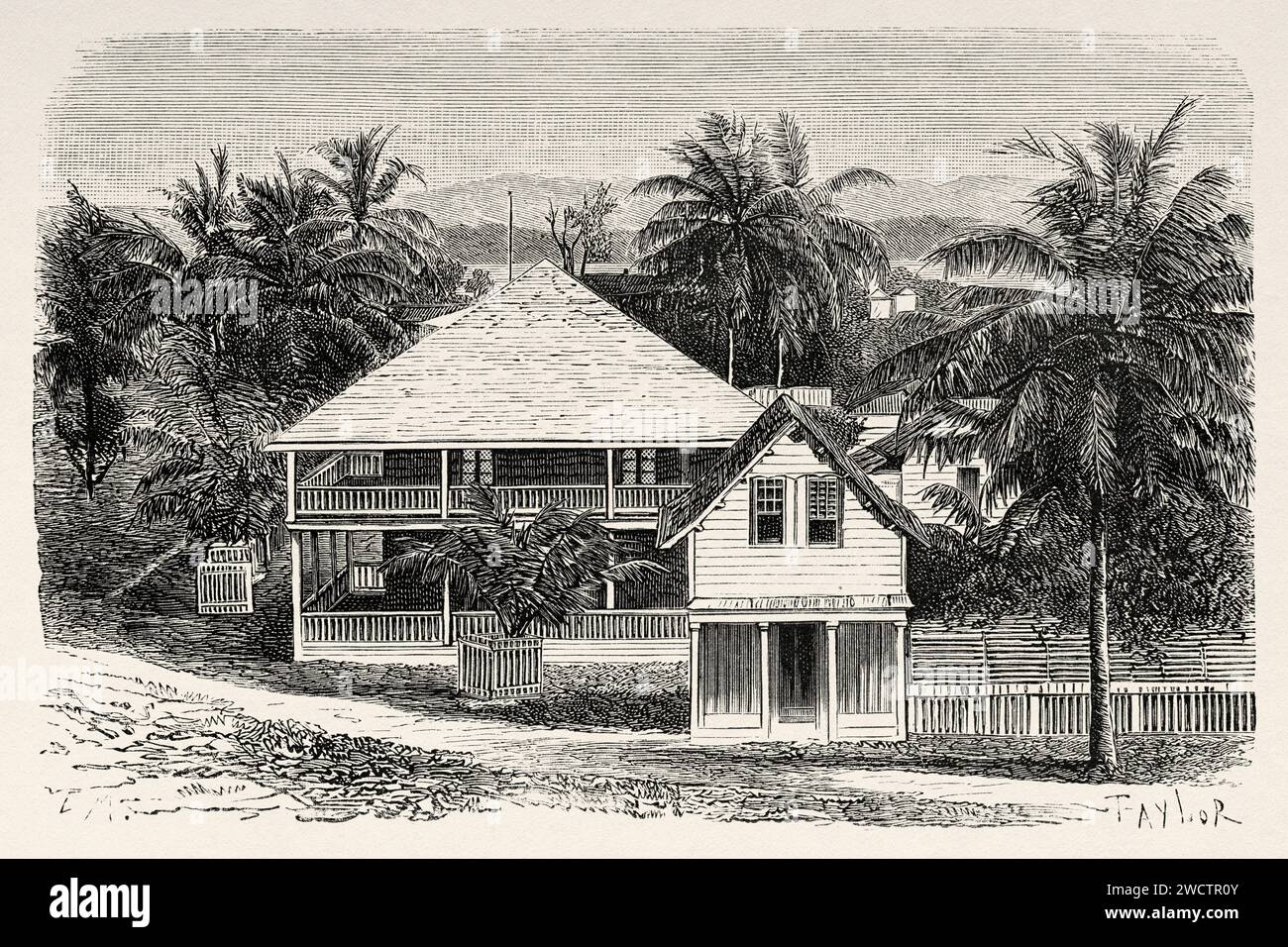 Traditional house among the palm trees. Colon, Republic of Panama ...